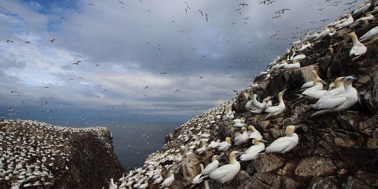 Join the Wild Cliffs Photo Contest and win Vanguard Backpack - VIEWBUG.com